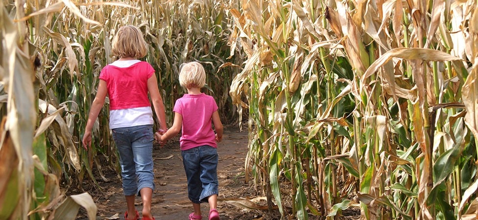 Fresh Produce Farm in Georgia | Jaemor Farms